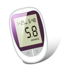 China Portable Code Free Blood Glucose Meter for Hospital Homecare Use Model WL-XTY03 for sale