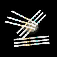 China 10 Parameter Urine Test Strips Medical Consumables 100 Strips per Bottle for sale