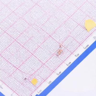 China CCO Chian Chia Elec RI40-1 4W-3 3MΩ ±5% T metal glaze resistor designed for high voltage applications for sale