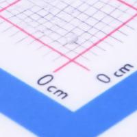 China Ceramic Capacitors Darfon Elec C1005NP0229CGT providing performance and no aging for tuned circuits for sale