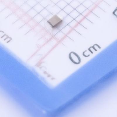 China Ceramic capacitors FH BK Guangdong Fenghua Bangke Elec 0805B221K500NT with bulk and tape reel packaging options for sale