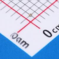 China Chip capacitor HenryTech HLCC10050G featuring TiW Pt Au plating for bonding process and conductive adhesive baking for sale