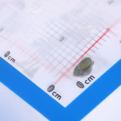 China Pb Free Halogen Free LIZ CA024AJF0102G Thick Film Chip Array Resistors for Electronic Components for sale