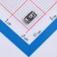 China Plastic Package Metal Alloy Resistor PAKER RA2512F3R300G with High Power Rating and RoHS Compliance for sale