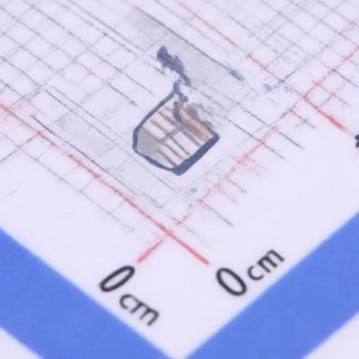 China General Purpose Electronic Components VO SCR2512J33R Thick Film Chip Resistors RoHS Compliant Series for sale