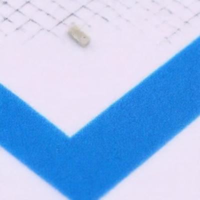 China Miniature multilayer ceramic low pass filter Walsin RFLPF10050G9D9T designed for 698 to 915 MHz frequency for sale