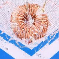 China Horizontal Winding Sendust Core Magnetic Ring with Pure Copper Wire Electronic Part XR XR4426T101MHL5 for sale