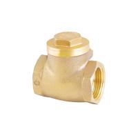China Antiwear ODM One Way Vertical 1 Inch Brass Check Valve For Water Supply System for sale