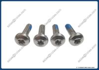 China A2/304/18-8 Stainless Steel Torx Pan Head Nylon Patch Self-locking Screw for sale