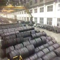 China 10mm Stainless Steel Wire 1mm Full Soft 7x19 Stainless Steel Cable for sale
