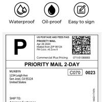 China High Resolution Print Shipping Labels Eco Friendly For Enhanced Barcode Scanning for sale