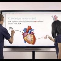 China 75 Inch Interactive Smart Board with 4K Resolution 40-50 Touch Points and Android 14.0 OS Digital Whiteboard for sale