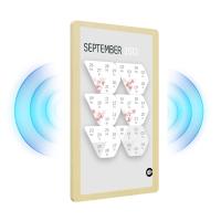 China Qtenboard FHD Digital Wall Calendar with Smart Scheduling and Wall Mounted Design for Offices and Schools for sale