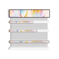 China 10000k Color Temperature 16:9 Screen Ratio AC100~240V Voltage Smart Shelf Edge Display for Retail Shelf Digital Signage for sale