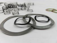 China 2mm High Stiffness Stainless Steel Wave Springs | SUNZO Factory for sale