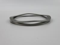 China SUS316 Waved Spring: Corrosion-Resistant Wave Spring for Marine & Chemical Industries for sale