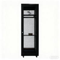 China IEC60297 19-Inch Server Rack Cabinet with IP55/IP65 Rating for Data Centers & Networking Equipment for sale