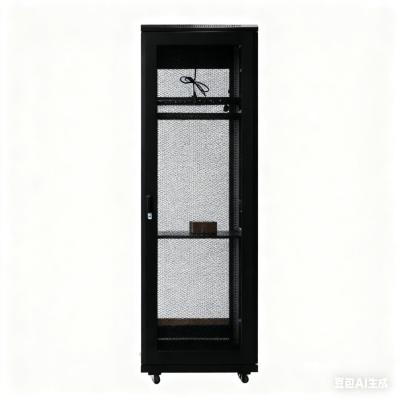 China IEC60297 19-Inch Server Rack Cabinet with IP55/IP65 Rating for Data Centers & Networking Equipment for sale