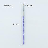 China Customized Private Label Style Liner Brush Nail Art Brush Set with Acrylic Handle for sale