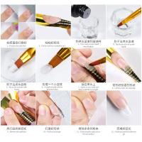 China Multi Colors Acrylic Powder System Starter Kit for Nail Art DIY Decoration 16Pcs/Lot for sale