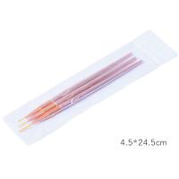 China Hot Selling New Arrival High Quality Plastic Nail Art Liner Brush for sale