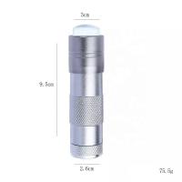 China Multi-function Mini UV LED Nail Lamp Press Dried Flower Nail Polish Dryer With Stamper Silicone Head for sale