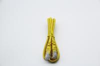 China Cat5 Ethernet Patch Cable CCS PVC Jacket Gold Plated RJ45 Connector 24 AWG Wire for sale