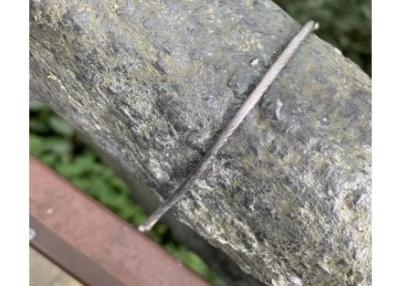 China 0.5 mm Wire Rope 1x19 Stainless Steel Wire Rope Price for sale