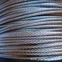 China Industrial Stainless Steel Wire Rope 1x19 3.18mm Free Sample for sale