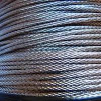 China SS Steel Wire Rope 20mm 1X7 1X19 7X7 7X19 6X19 IWRC 9X7 6X36 for sale