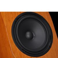 China Wood Color 2 Way Passive Bookshelf Speaker For Home Audio System for sale