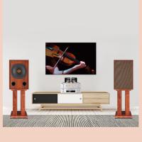 China Coaxial HiFi 12 Inch Bookshelf Speakers , Audiophile Bluetooth Speaker 220W for sale