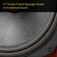 China Coaxial HiFi 12 Inch Bookshelf Speakers , Audiophile Bluetooth Speaker 220W for sale