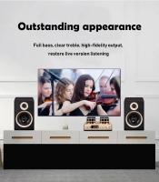 China 4 Ohms Bluetooth Hifi Bookshelf Speakers 2 Way Multifunctional for sale