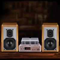 China Integrated Stereo Hybrid Vacuum Tube Audio Amplifier With Subwoofer Output MIC Output for sale
