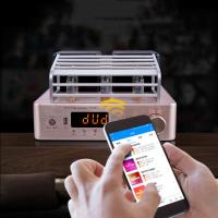 China Integrated Stereo Hybrid Vacuum Tube Audio Amplifier With Subwoofer Output MIC Output for sale