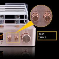 China Integrated Stereo Hybrid Vacuum Tube Audio Amplifier With Subwoofer Output MIC Output for sale
