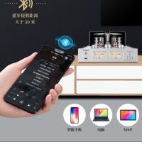 China HiFi Wireless Bluetooth Audio Amplifier For Home Music Sound Speaker for sale