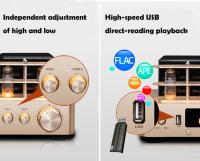 China 2.0 Channel Bluetooth Audio Amplifier , Vacuum Tube Amplifier Gold Color for sale