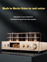 China 2.0 Channel Bluetooth Audio Amplifier , Vacuum Tube Amplifier Gold Color for sale