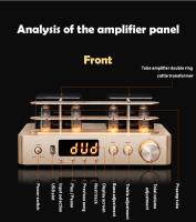 China 2.0 Channel Bluetooth Audio Amplifier , Vacuum Tube Amplifier Gold Color for sale