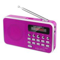 China Customized Universal Battery Operated Radio With Bluetooth Handheld for sale