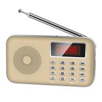 China 87.5mhz 108mhz Hand Held FM Radio With TF USB MP3 Multifunctional for sale