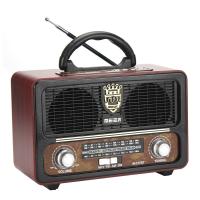 China 1200mhA Lithium Battery Powered Portable Radio With Bluetooth Remote Control for sale