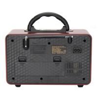 China Pure FM Handheld Radio Player With Bluetooth Remote Control OEM for sale