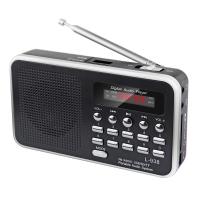 China Micro USB FM Radio Player With 87.5-108MHz FM Transmit Range for sale