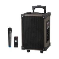 China Portable Wireless Bluetooth Trolley Speaker 50W Output Power Booming Bass for sale