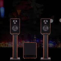 China Compact Bluetooth Bookshelf Speakers for Exceptional Sound 4