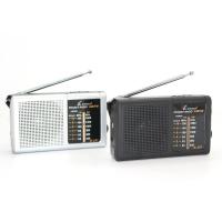 China Black Sliver Sleek Portable AM/FM Clock Radio with Battery Backup DC 3V AA*2 Battery Not Included for sale