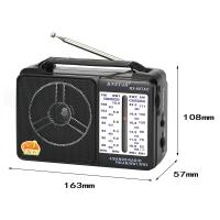 China Portable AM/FM Radio with Built In Speaker for Outdoor Use for sale